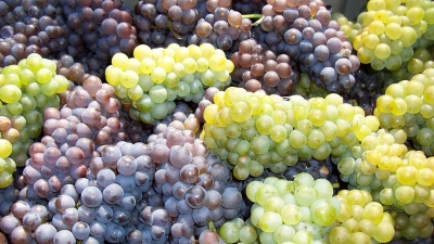 Jones Winery | Jones Winery